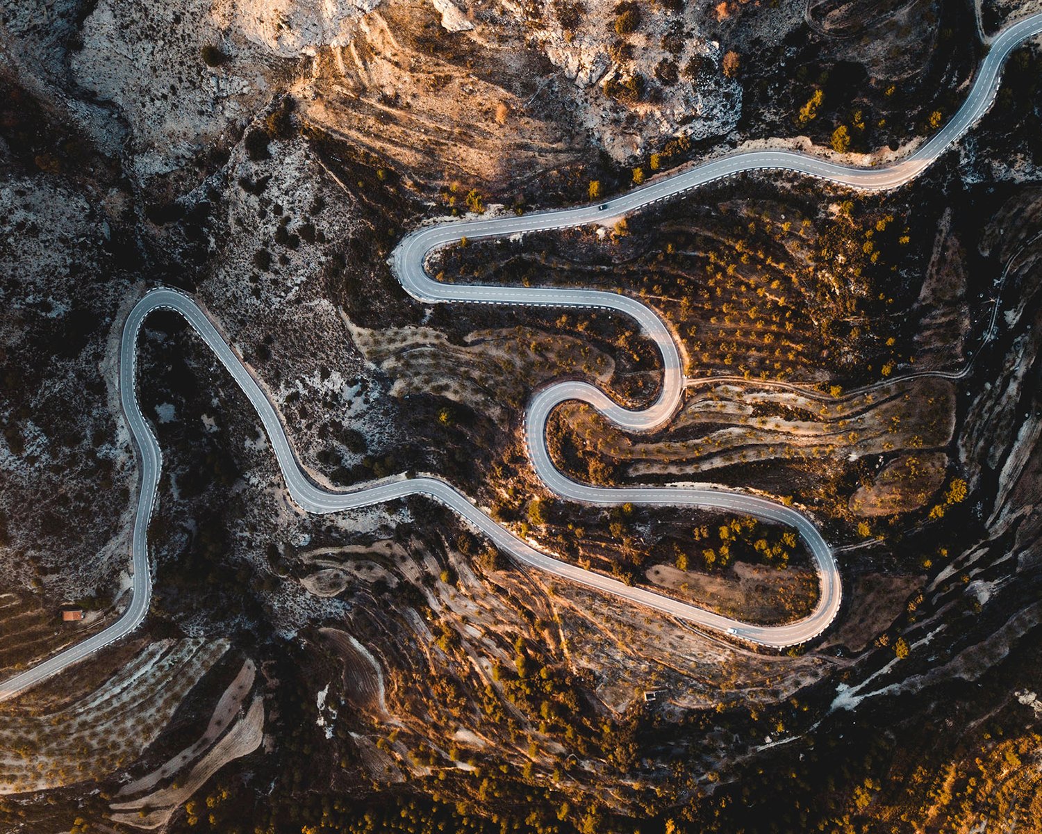 Rapid Response Research - UKHIH